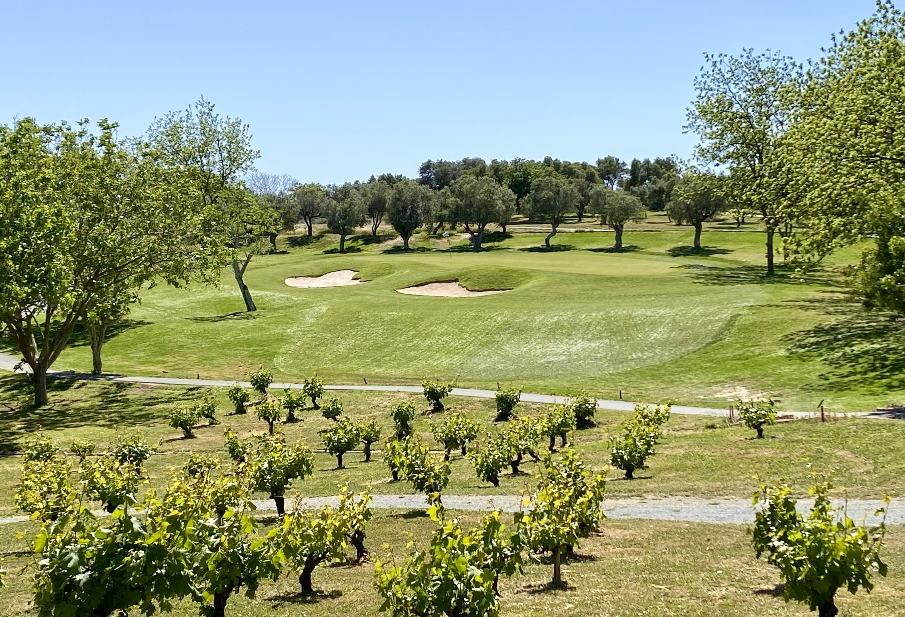 Minthis Review by Scarlett | Top 100 Golf Courses