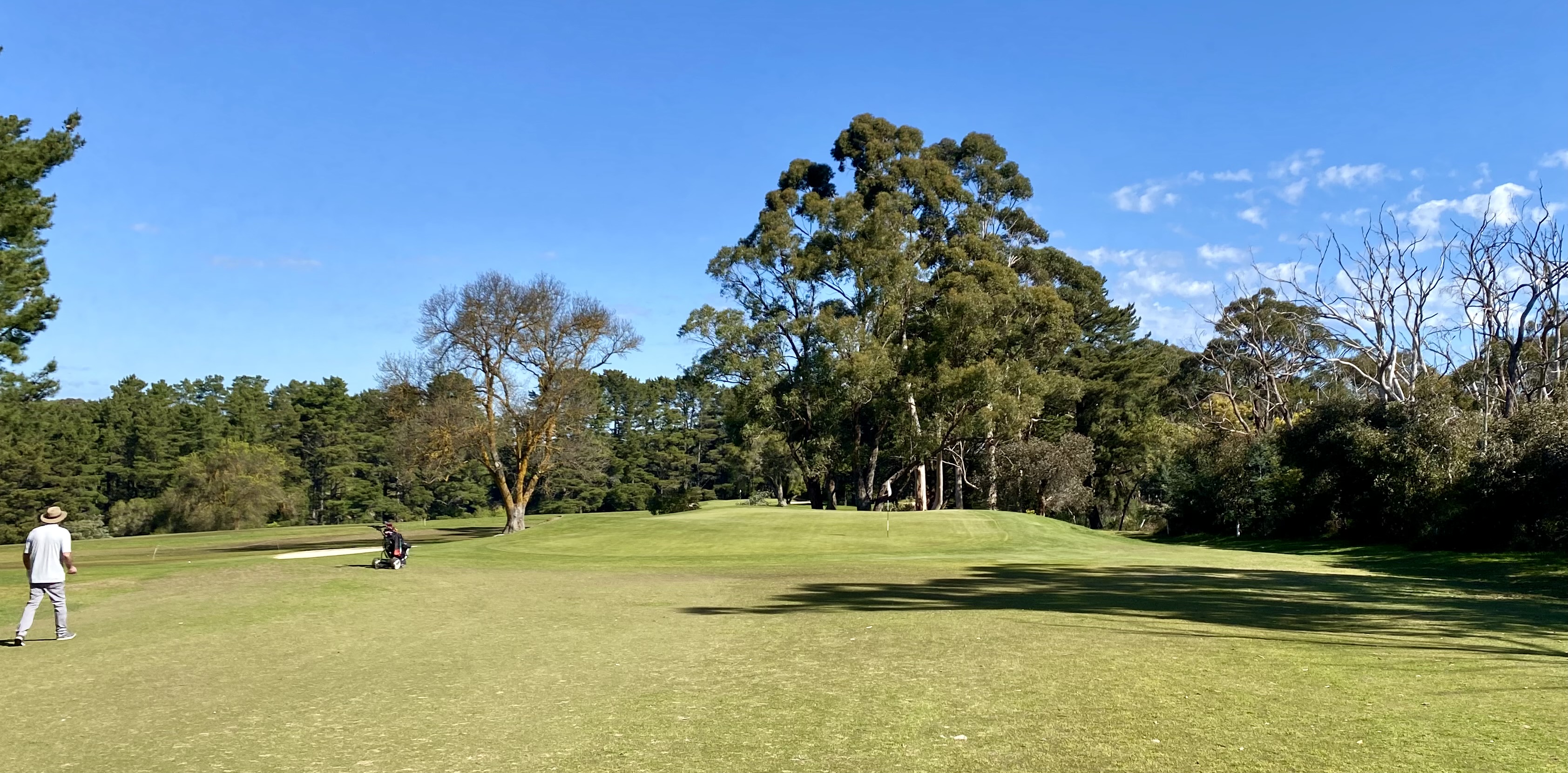 Blackwood Review by Scarlett | Top 100 Golf Courses