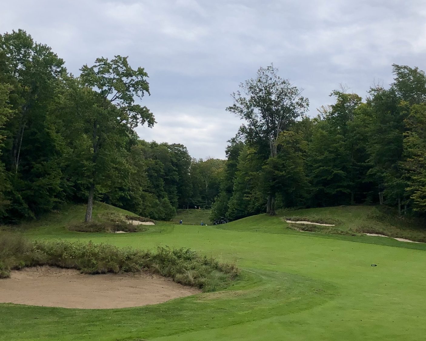 Treetops (Signature) Review by Shawn Arlia | Top 100 Golf Courses