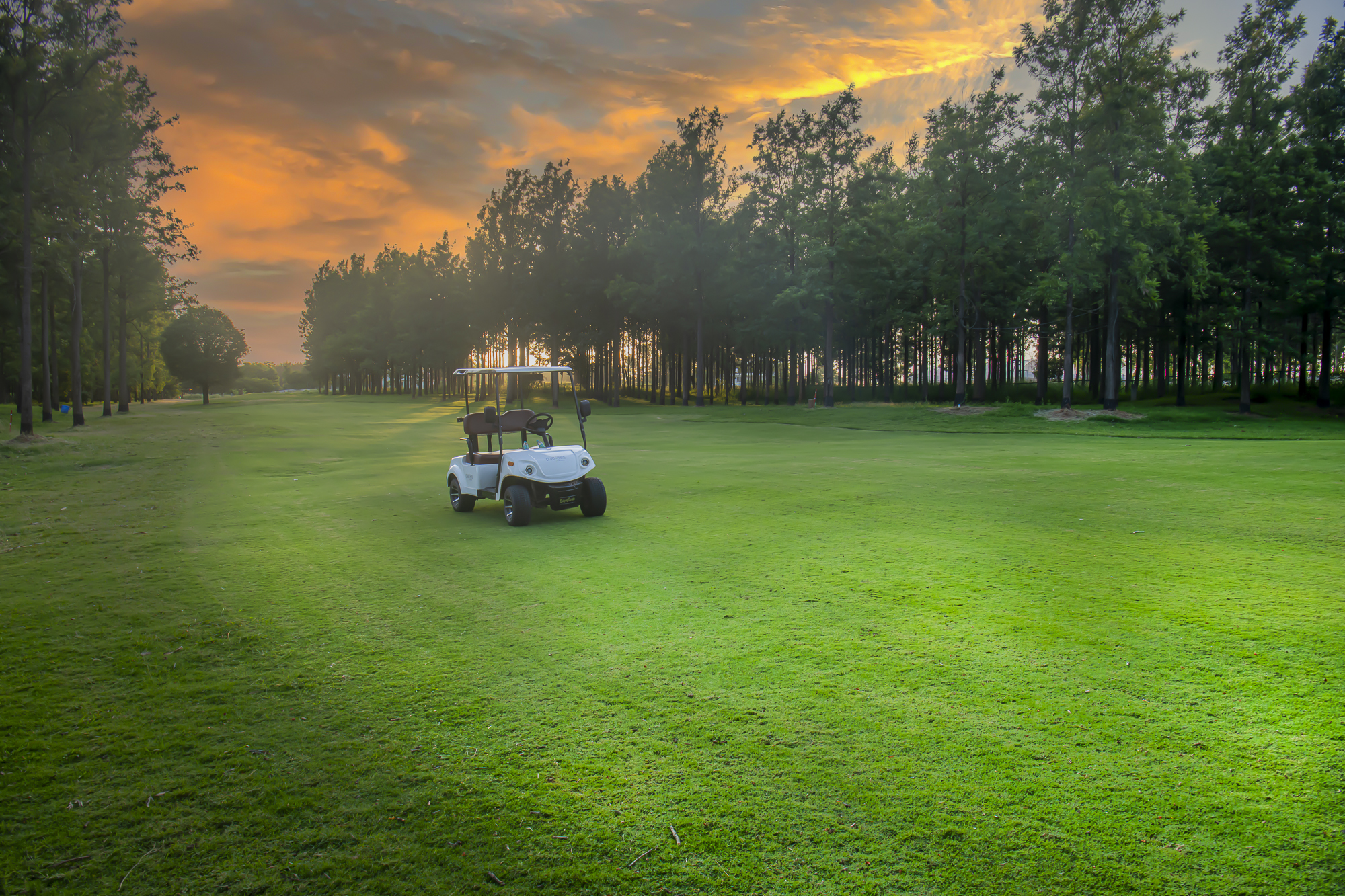 Clover Greens Golf Course and Resort Review by Saday | Top 100 Golf Courses