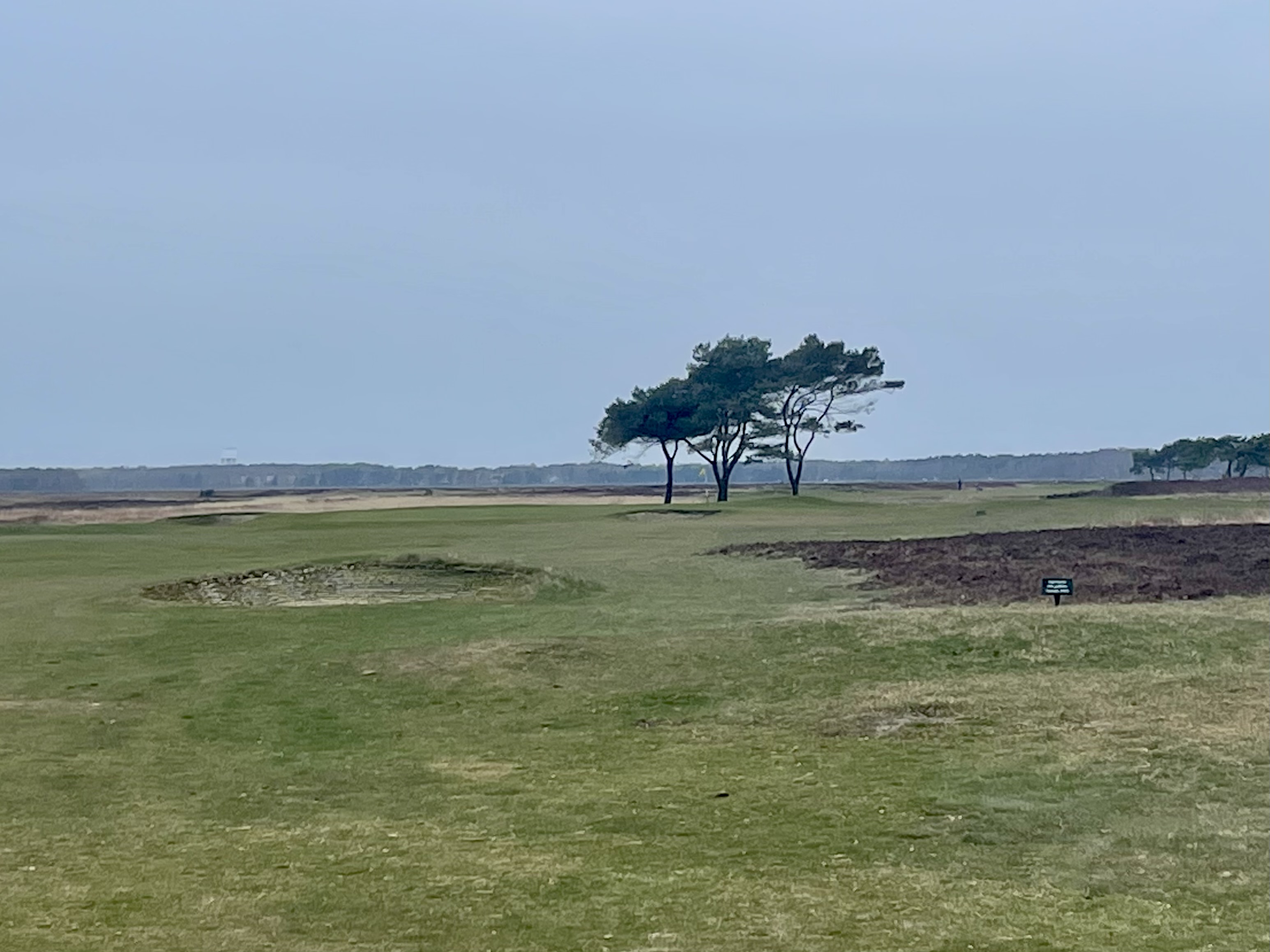 Ljunghusen (1-18) Review by BB | Top 100 Golf Courses