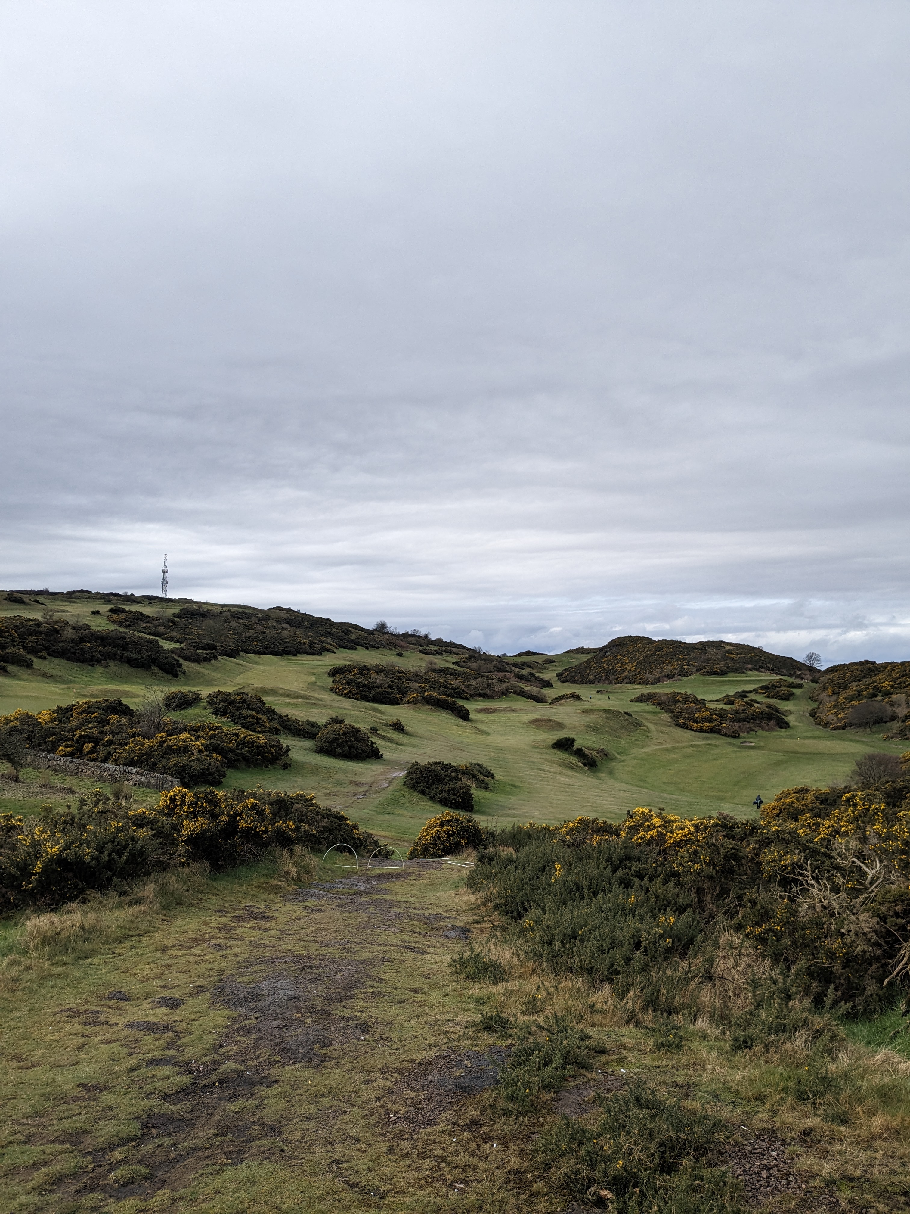 Braid Hills Golf Course Review by Rory | Top 100 Golf Courses