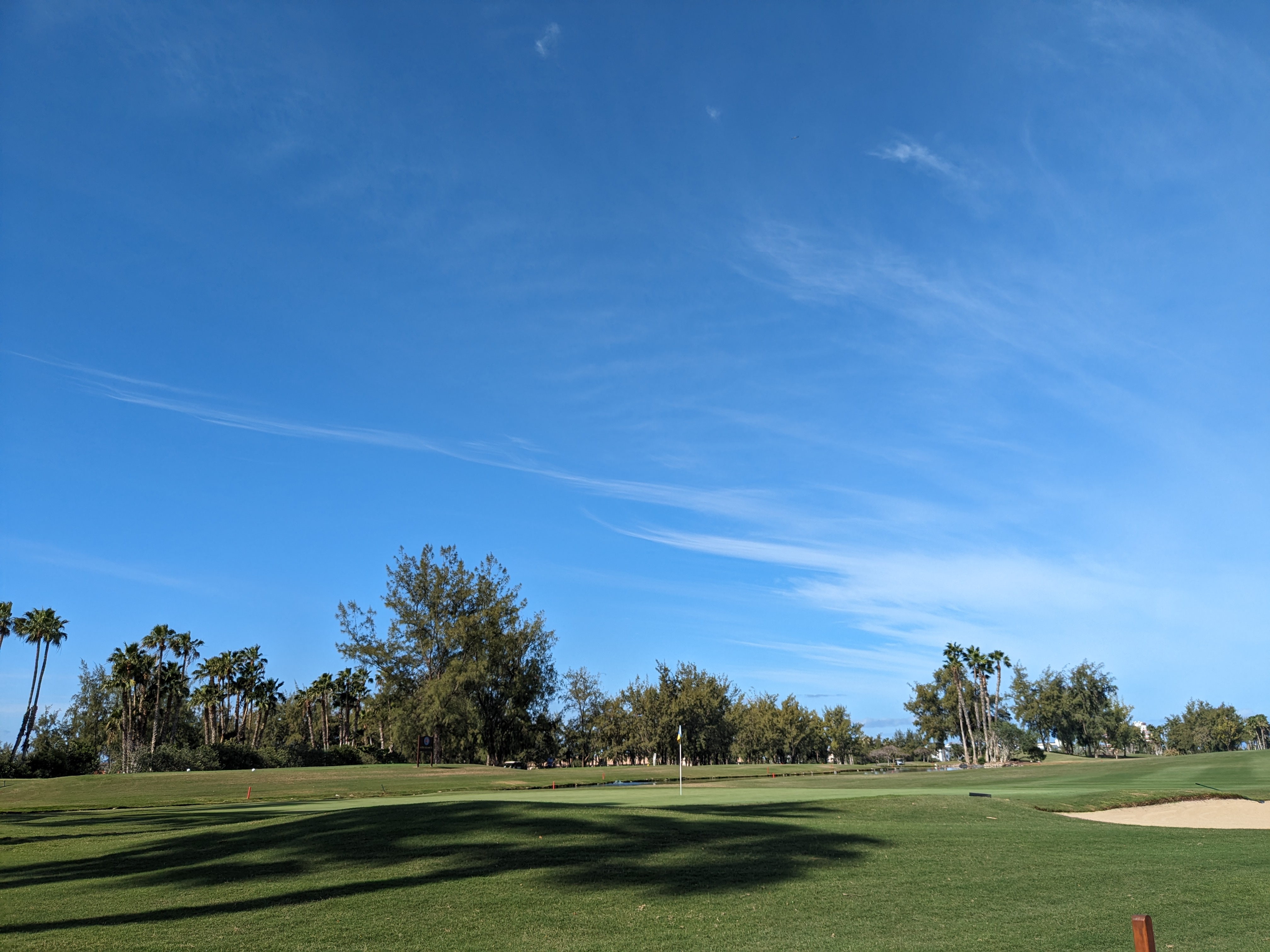 Las Americas Review by Zander | Top 100 Golf Courses