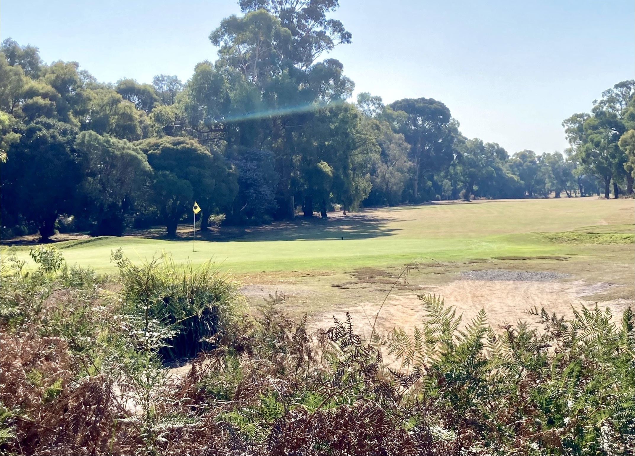 Lang Lang Review by Scarlett | Top 100 Golf Courses