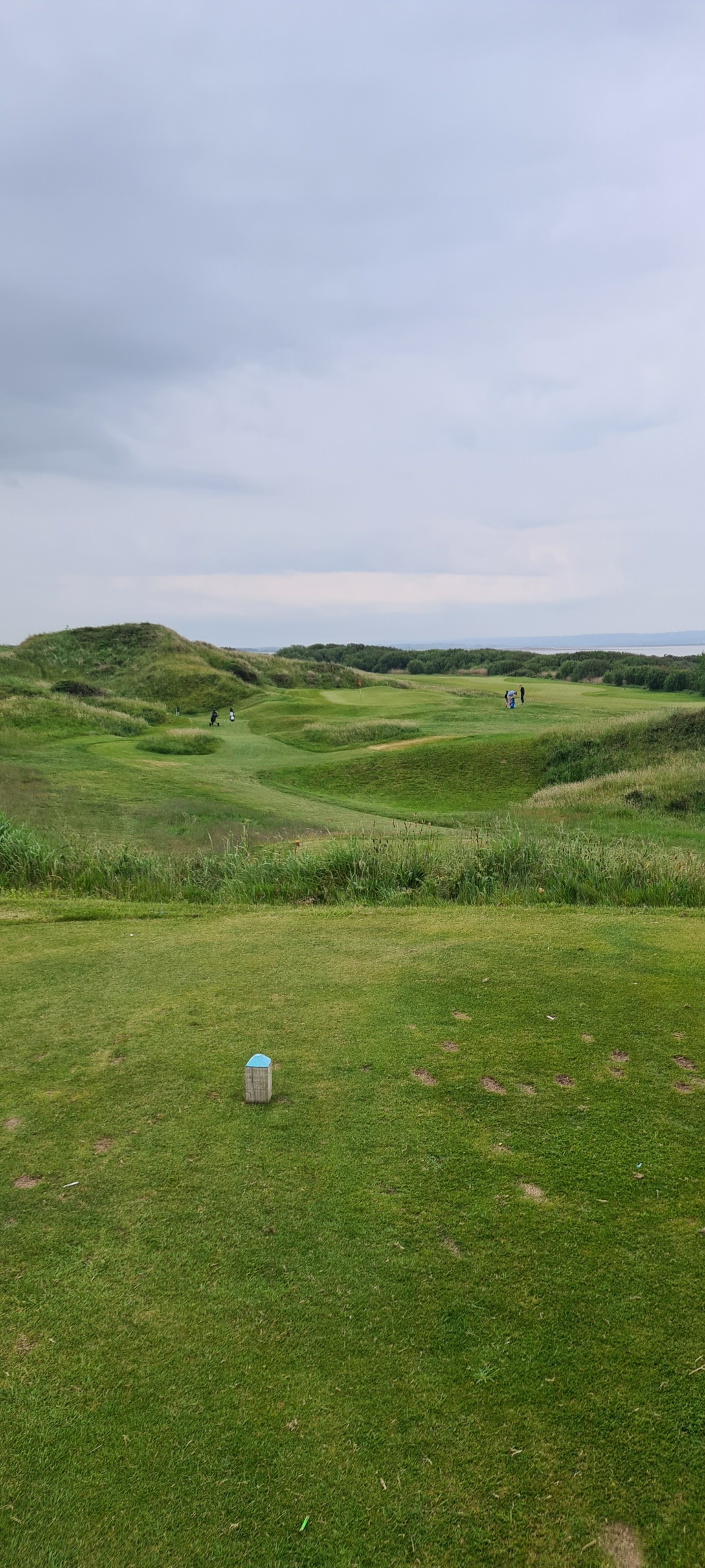 Burnham & Berrow Golf Club (Channel) Review by Andy Cocker | Top 100 ...