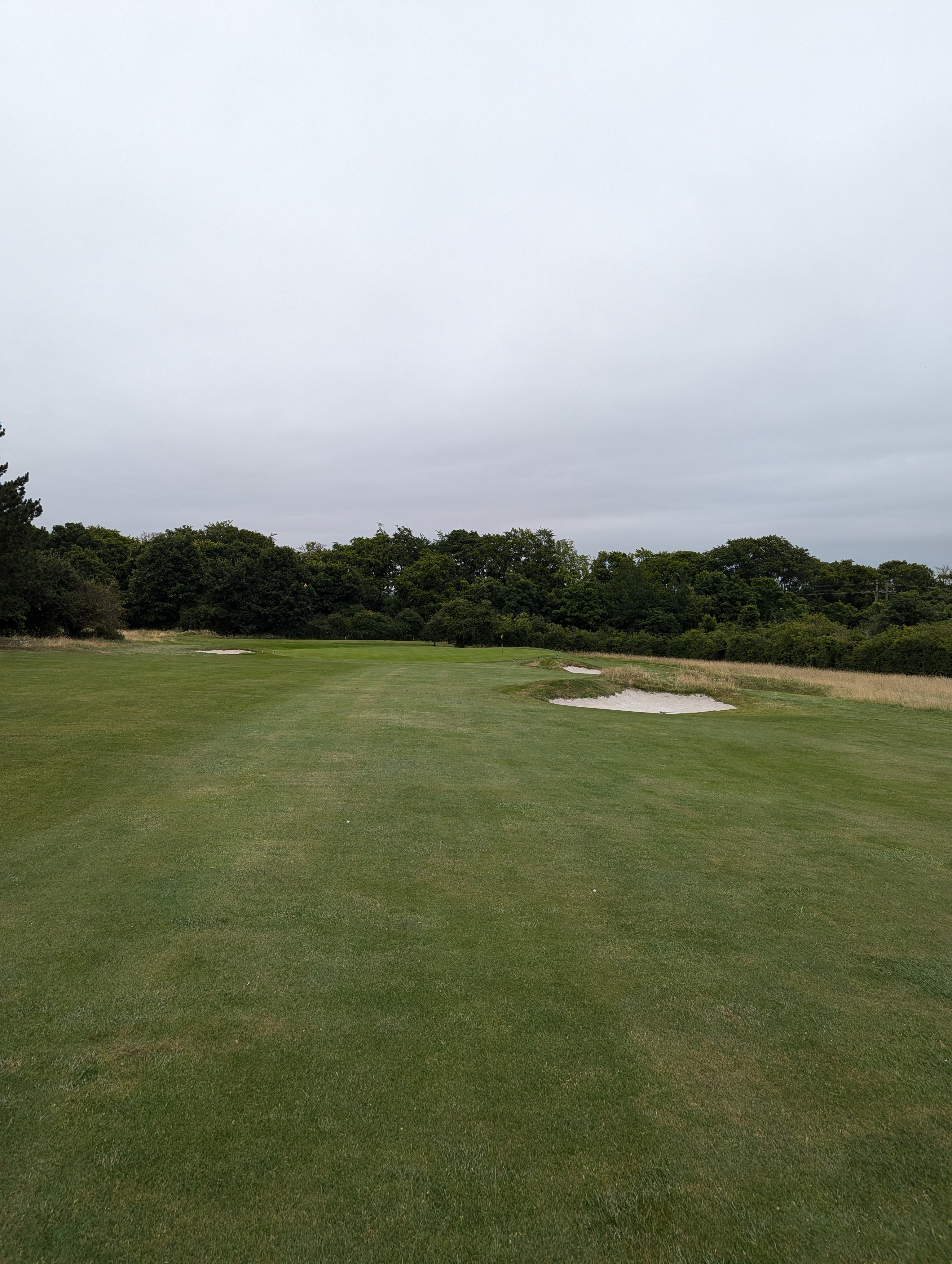 The Gog Magog Golf Club (Old) Review by Thomas de Oliveira | Top 100 ...