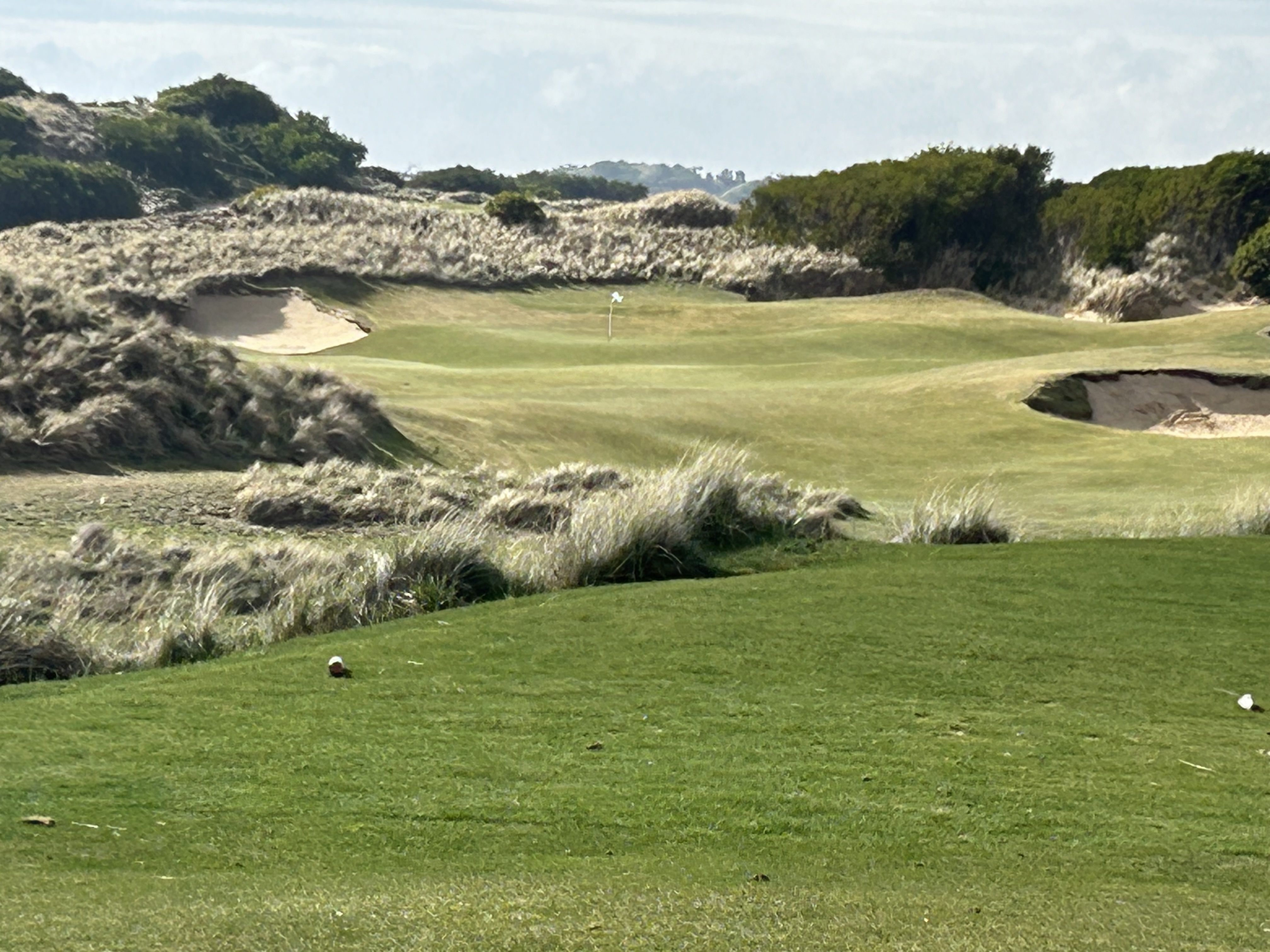 Barnbougle (The Dunes) Review by Michael Woodbry | Top 100 Golf Courses