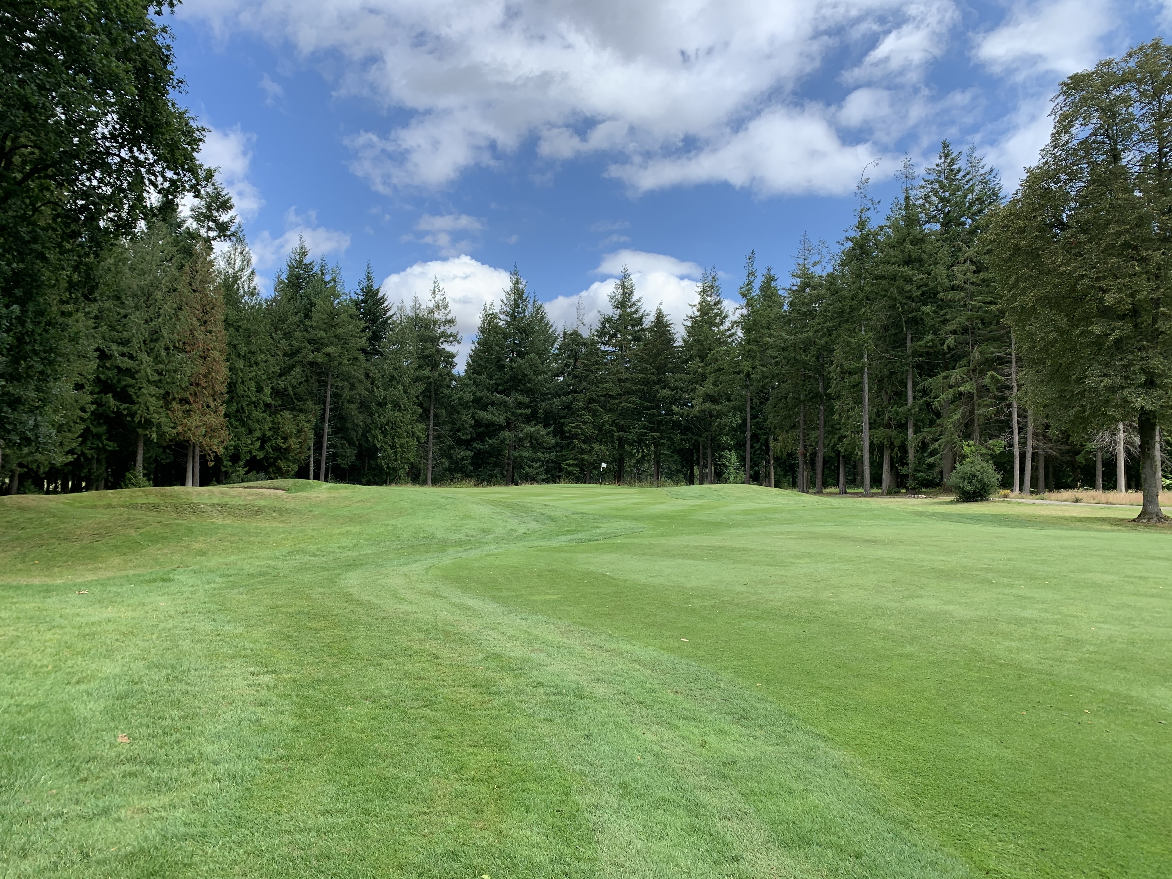 Remedy Oak Golf Club Review by Tyler Gilson | Top 100 Golf Courses