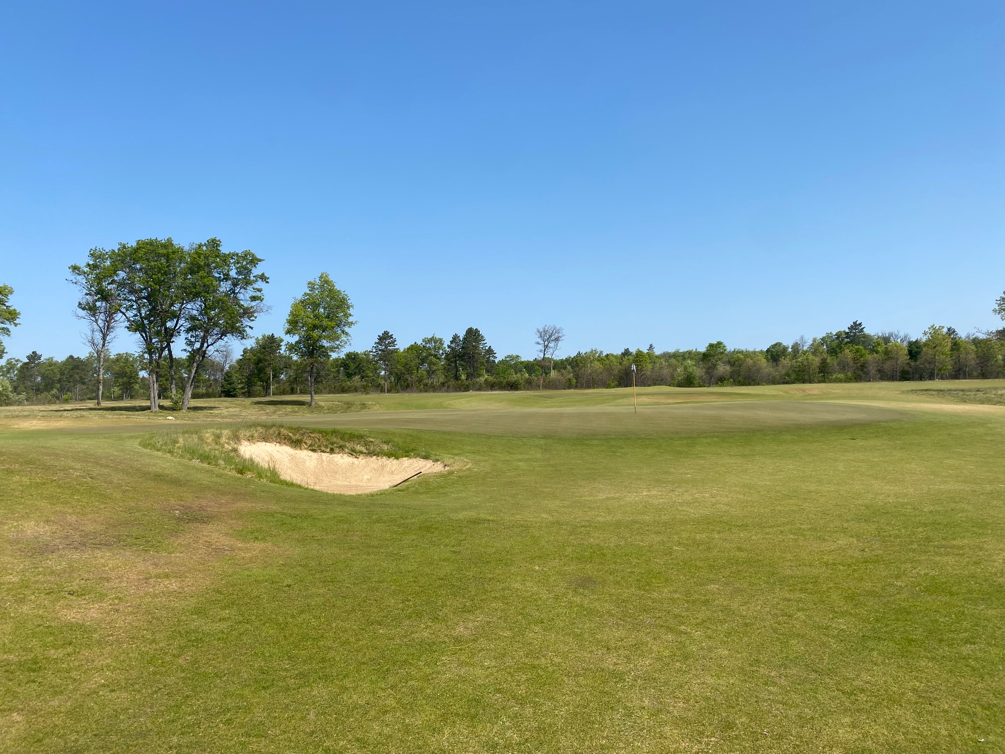 Forest Dunes Golf Club (The Loop - Black) Review by AJ Willy | Top 100 ...