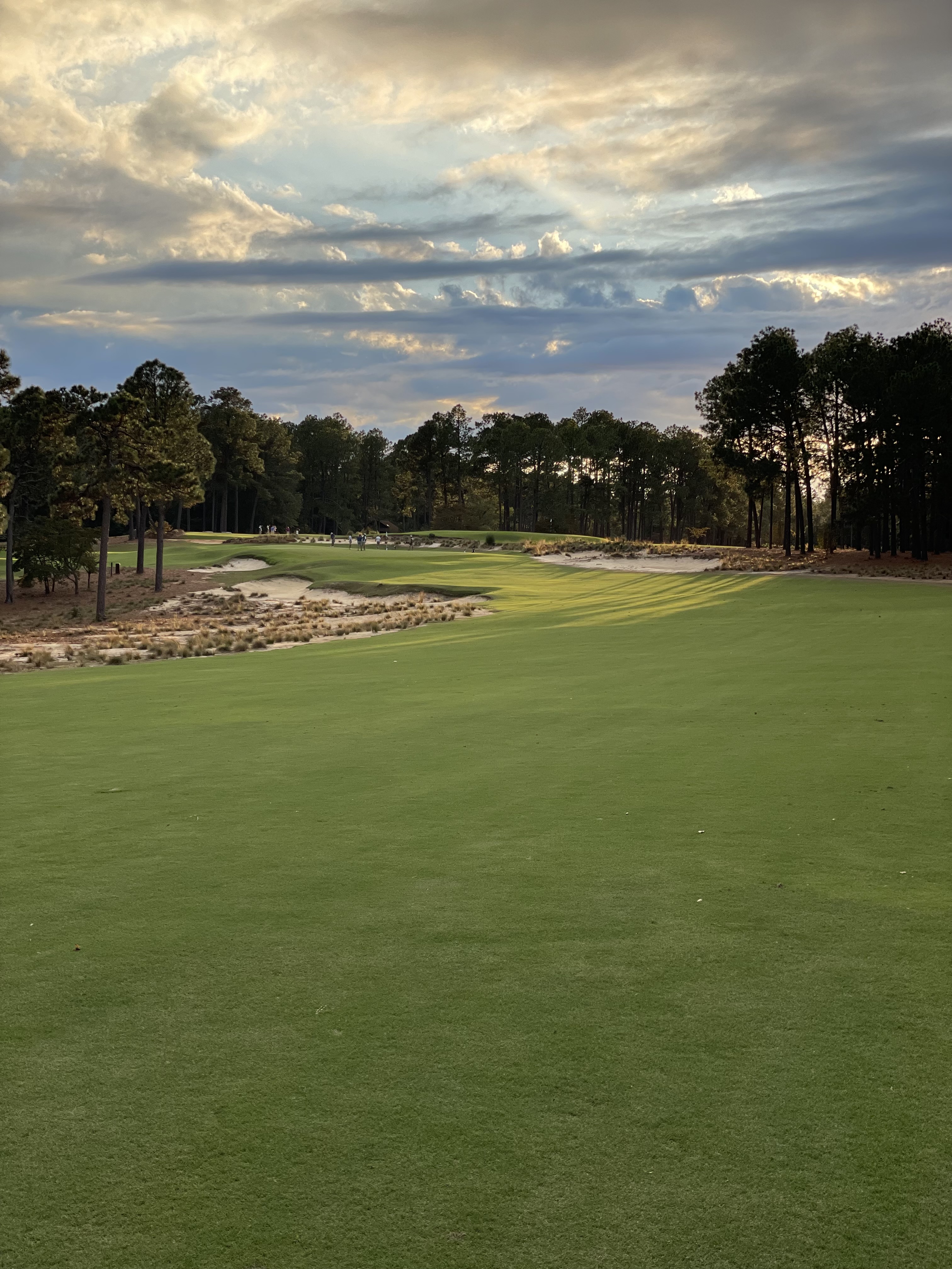 Pinehurst Resort No. 2 Review by Brandon Lavin | Top 100 Golf Courses