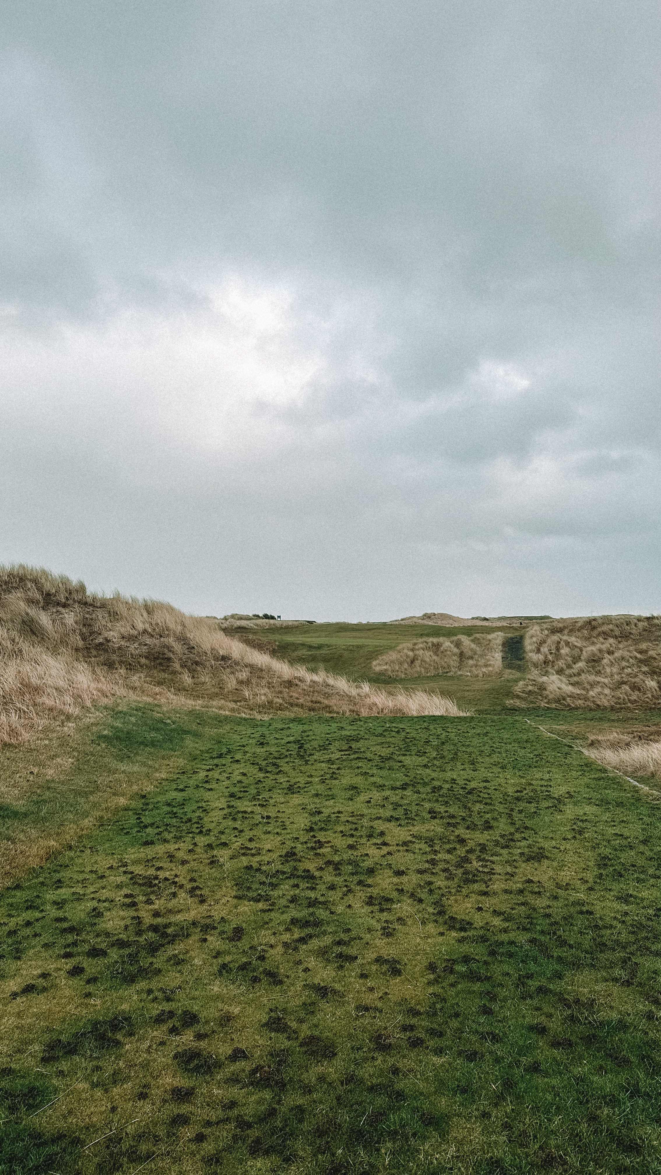 Newbiggin Golf Club Review by Jag | Top 100 Golf Courses