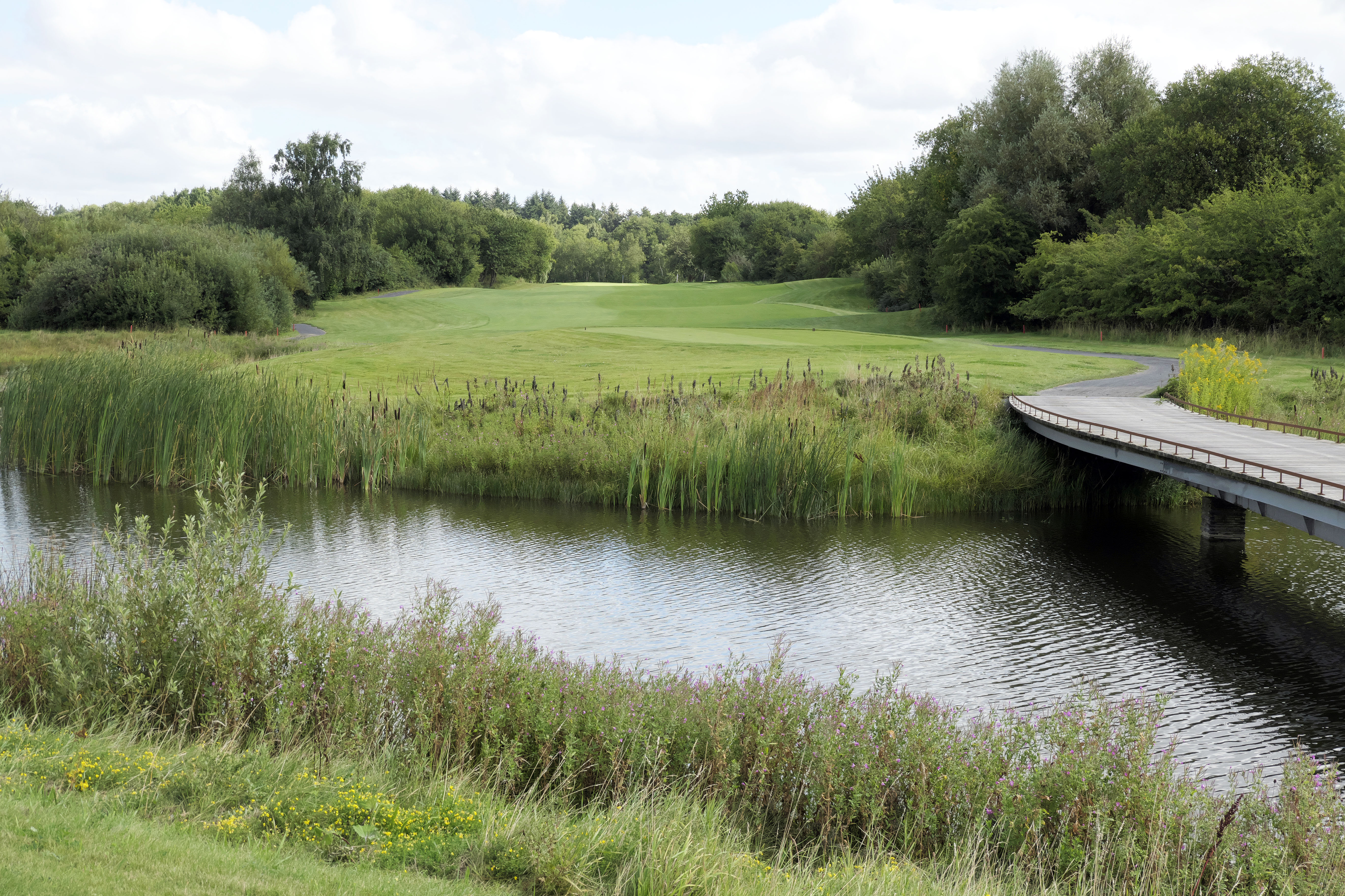 The Scandinavian (New) Review by Dr. Michael J. Noack | Top 100 Golf ...