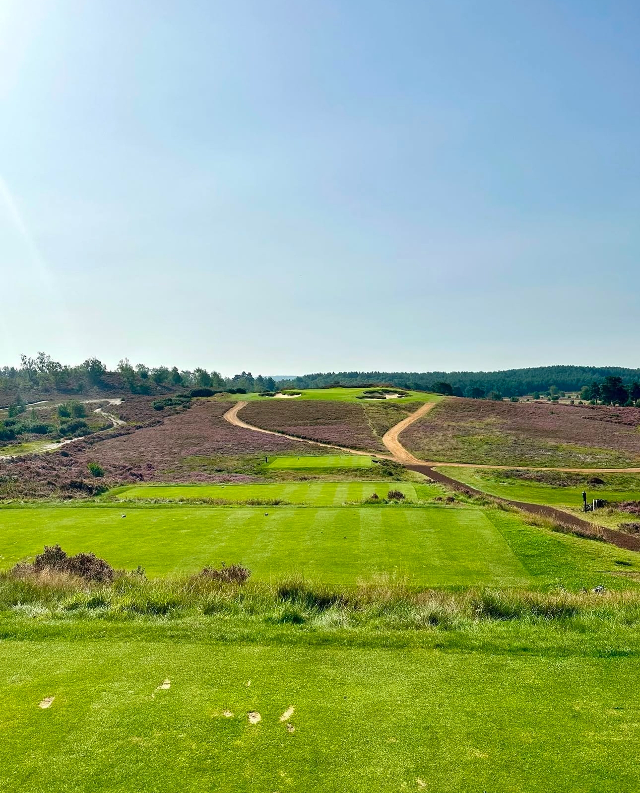 Hankley Common Golf Club Review by Daniel Haighton | Top 100 Golf Courses