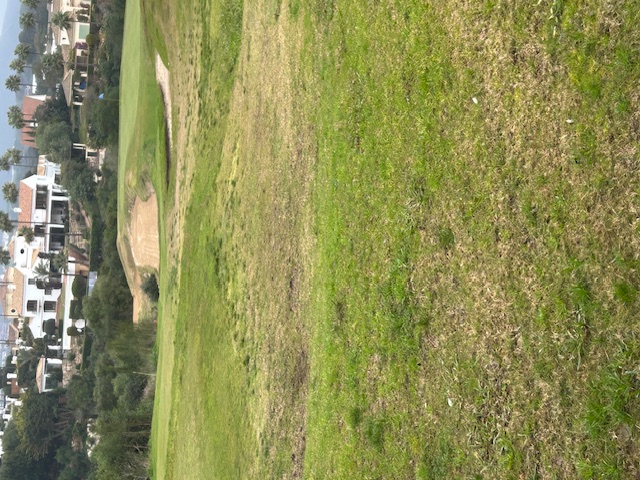 San Roque Club (New) Review by Ory Johan | Top 100 Golf Courses
