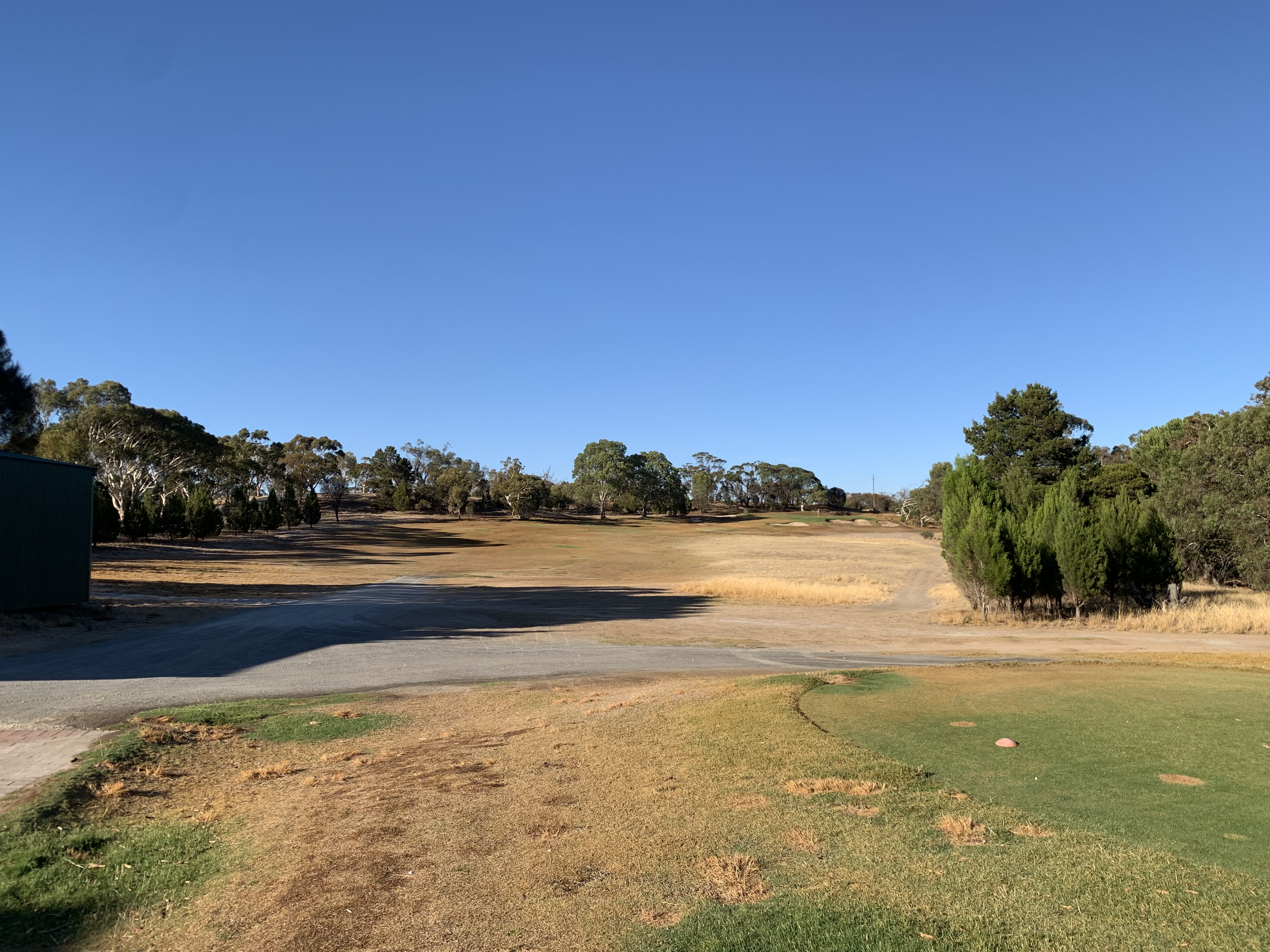 Tanunda Pines Review by Tim Crowley | Top 100 Golf Courses