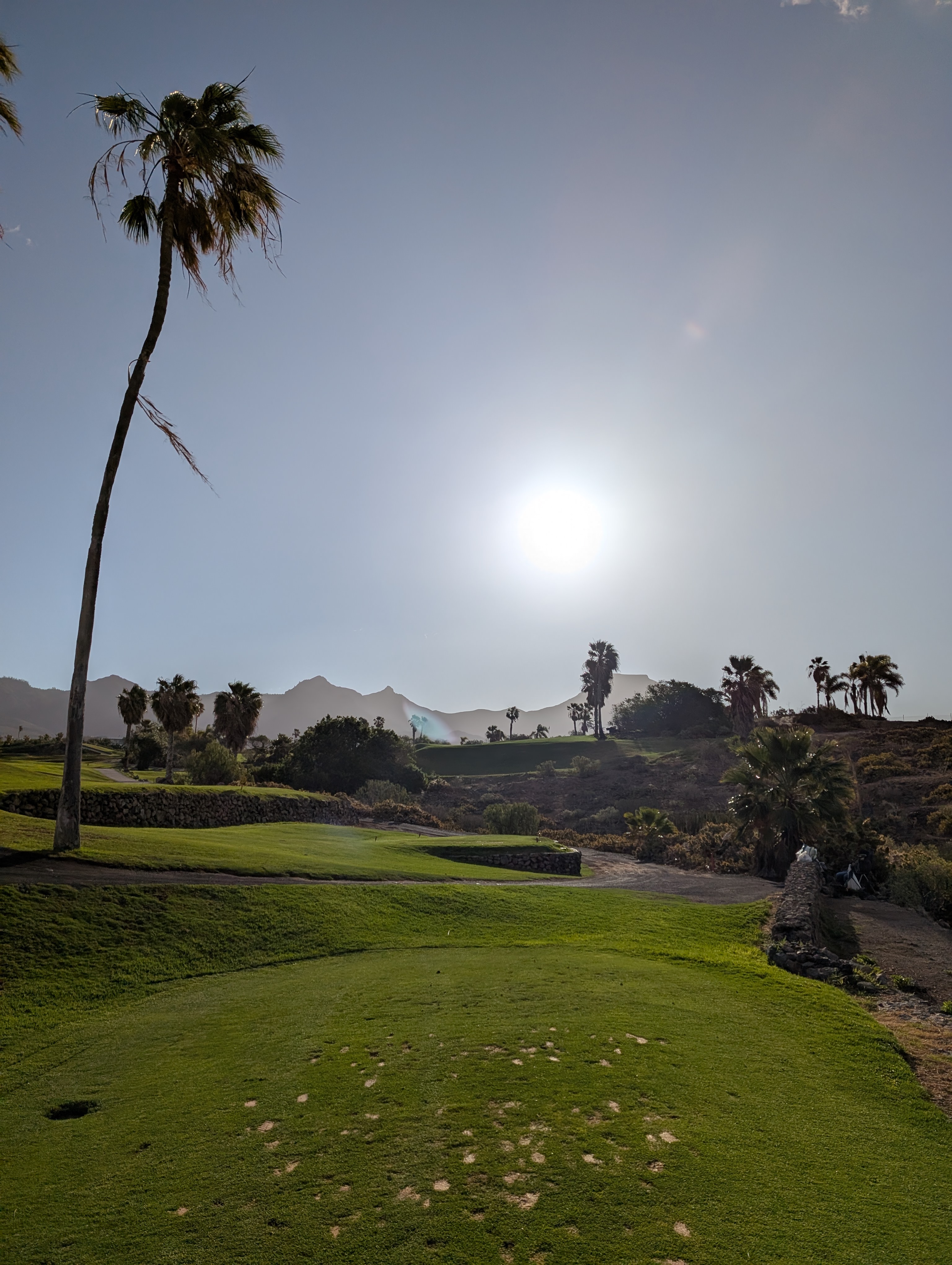 Golf Costa Adeje Review by Jed Hunter | Top 100 Golf Courses