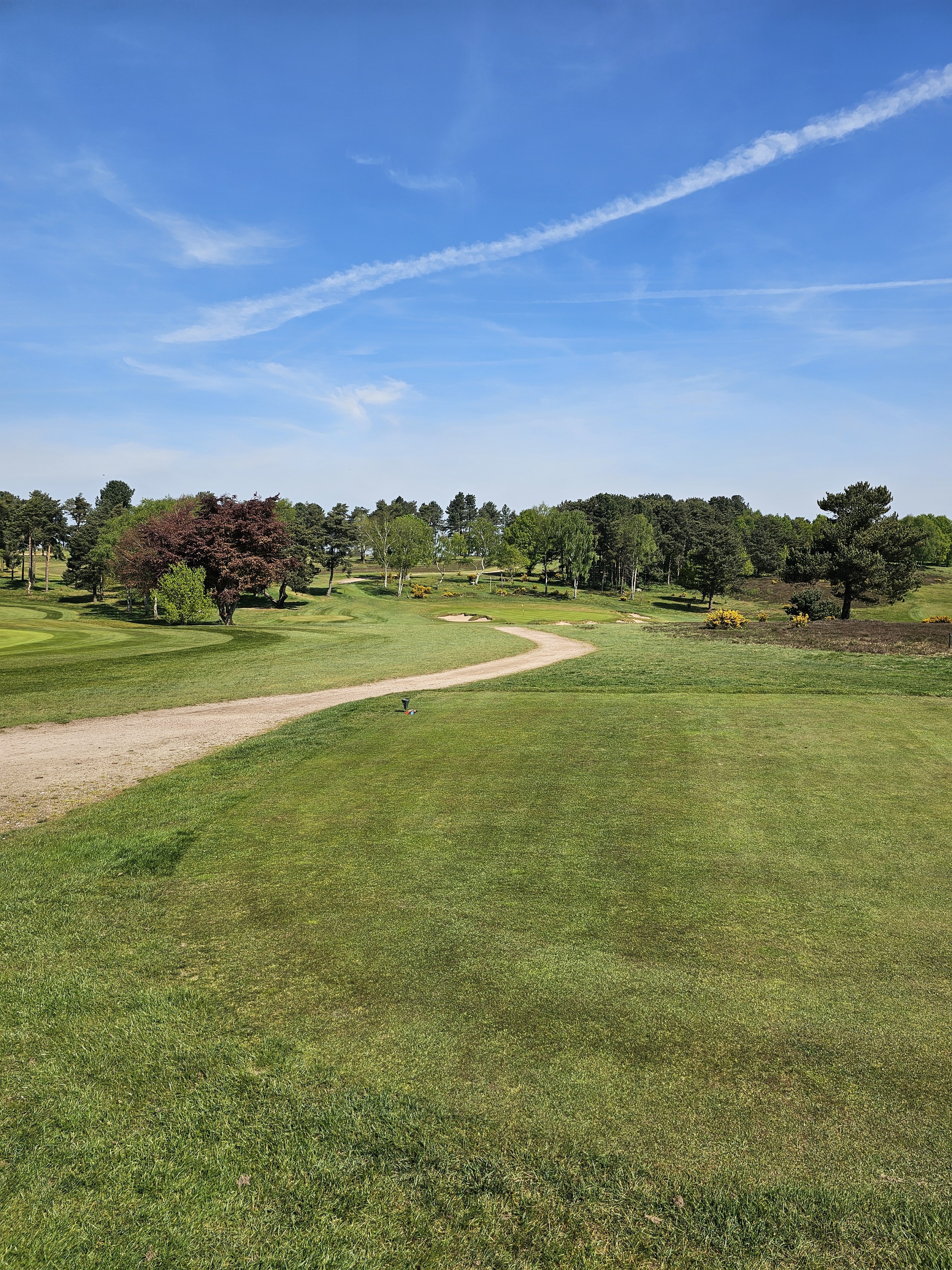 Coxmoor Golf Club Review by Andy Cocker | Top 100 Golf Courses
