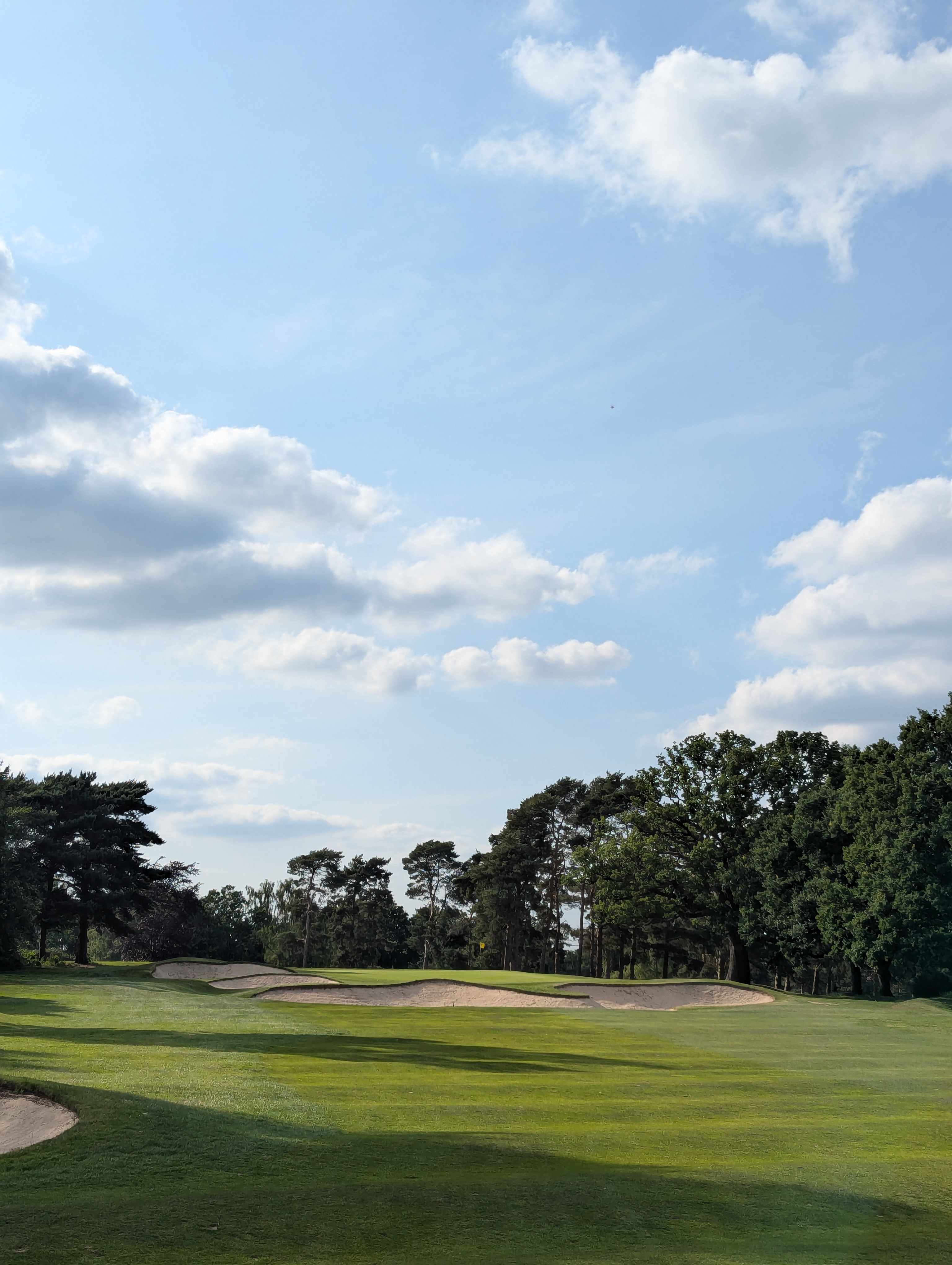 Copt Heath Golf Club Review by Thomas de Oliveira | Top 100 Golf Courses