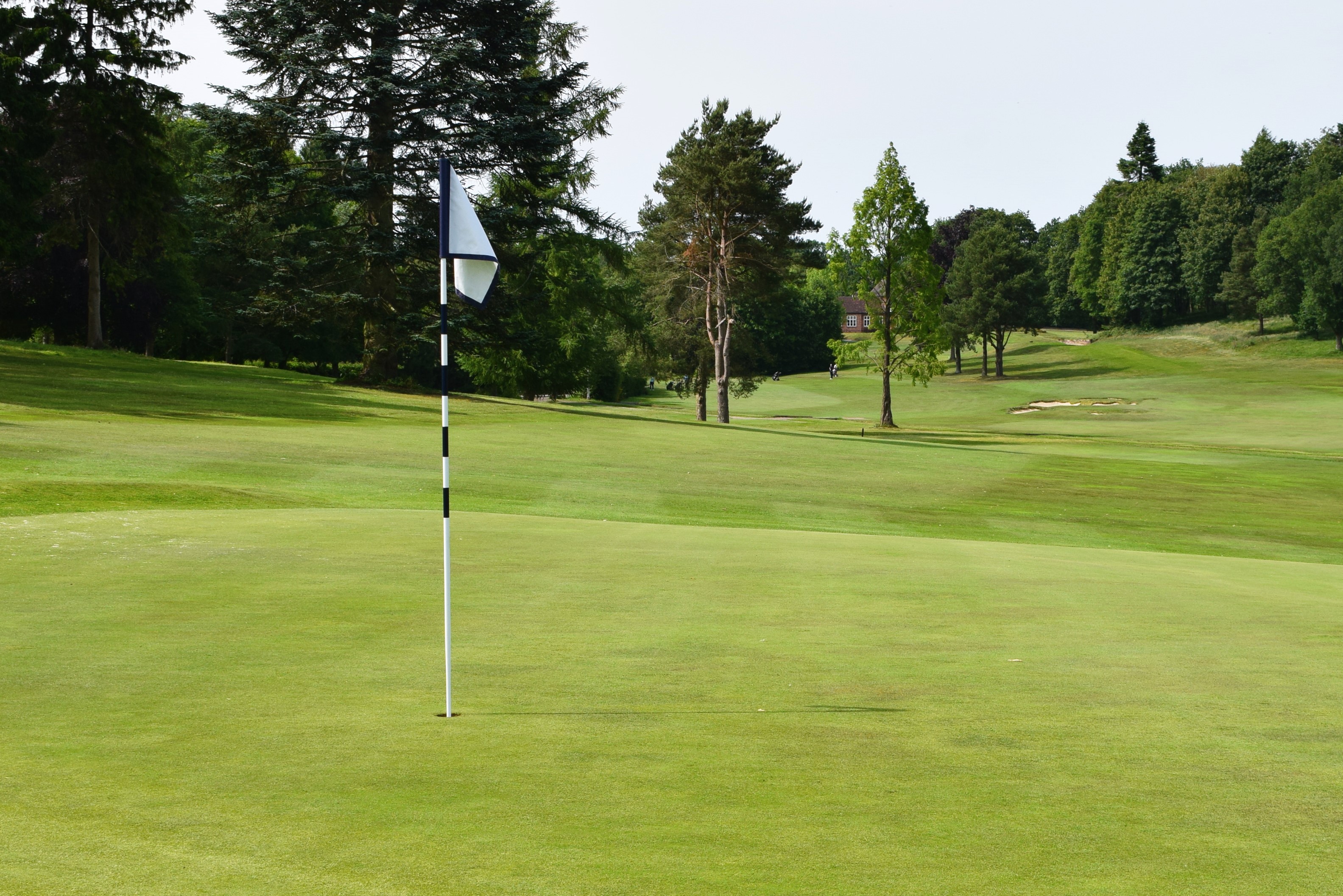 Blackwell Golf Club Review by Jason H | Top 100 Golf Courses