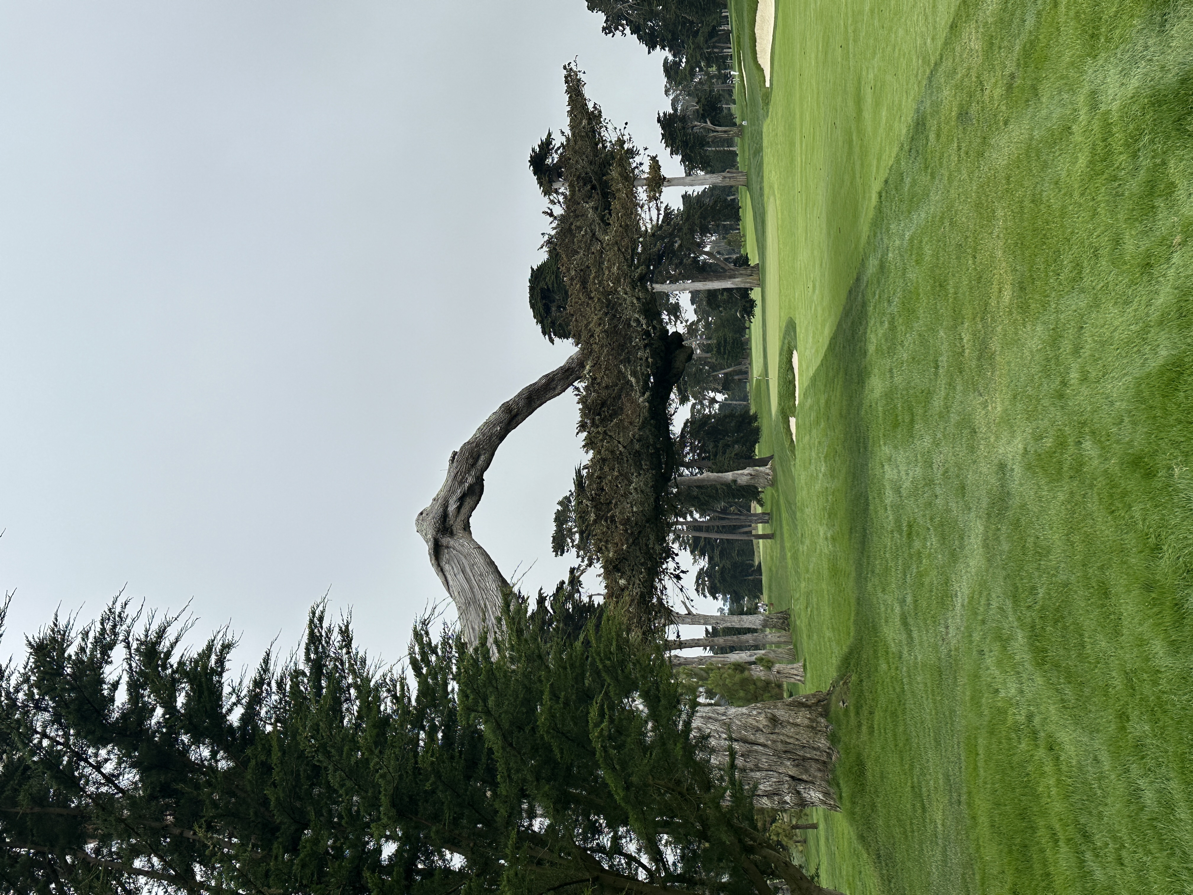 Olympic Club (Lake) Review by Anonymous | Top 100 Golf Courses