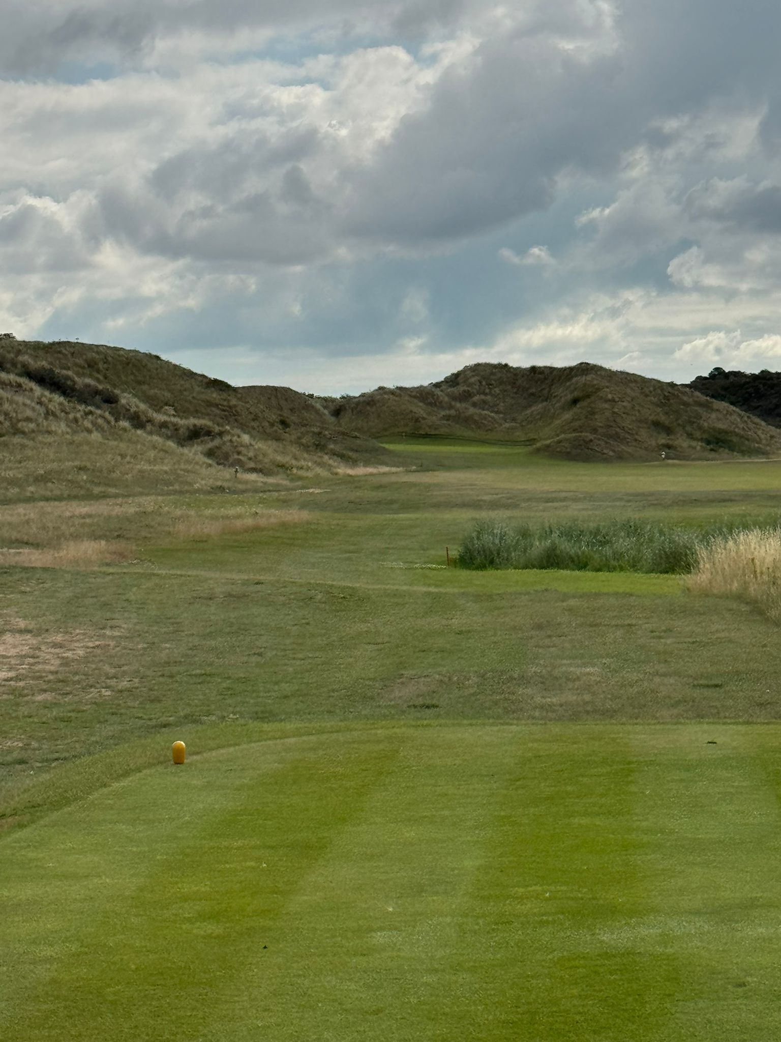 Rye Golf Club (Jubilee) Review by Javier Pintos | Top 100 Golf Courses