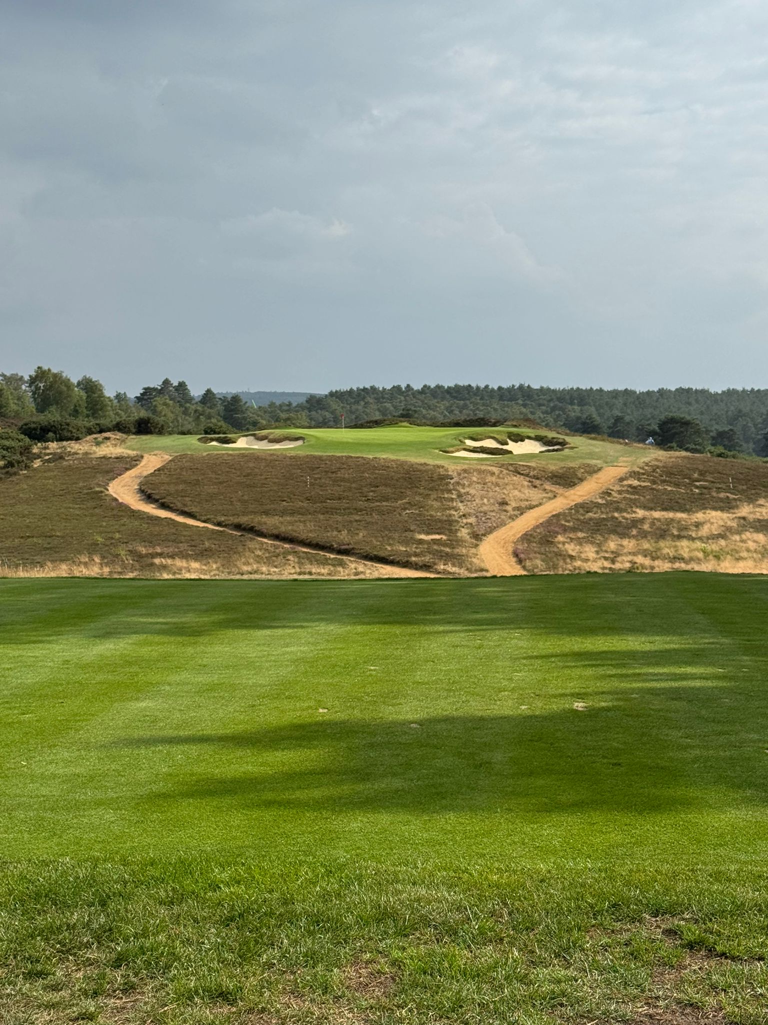 Hankley Common Golf Club Review by Javier Pintos | Top 100 Golf Courses