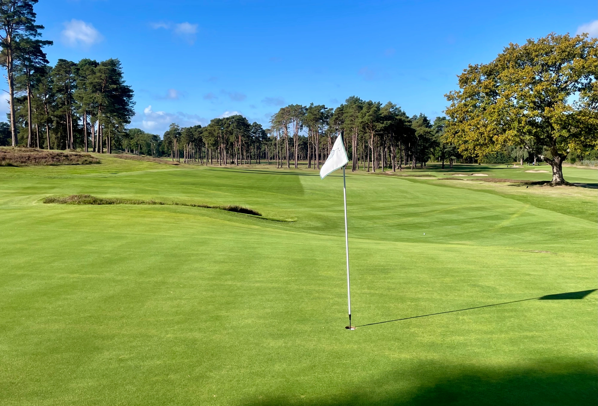 Woking Golf Club Review by Steve E | Top 100 Golf Courses
