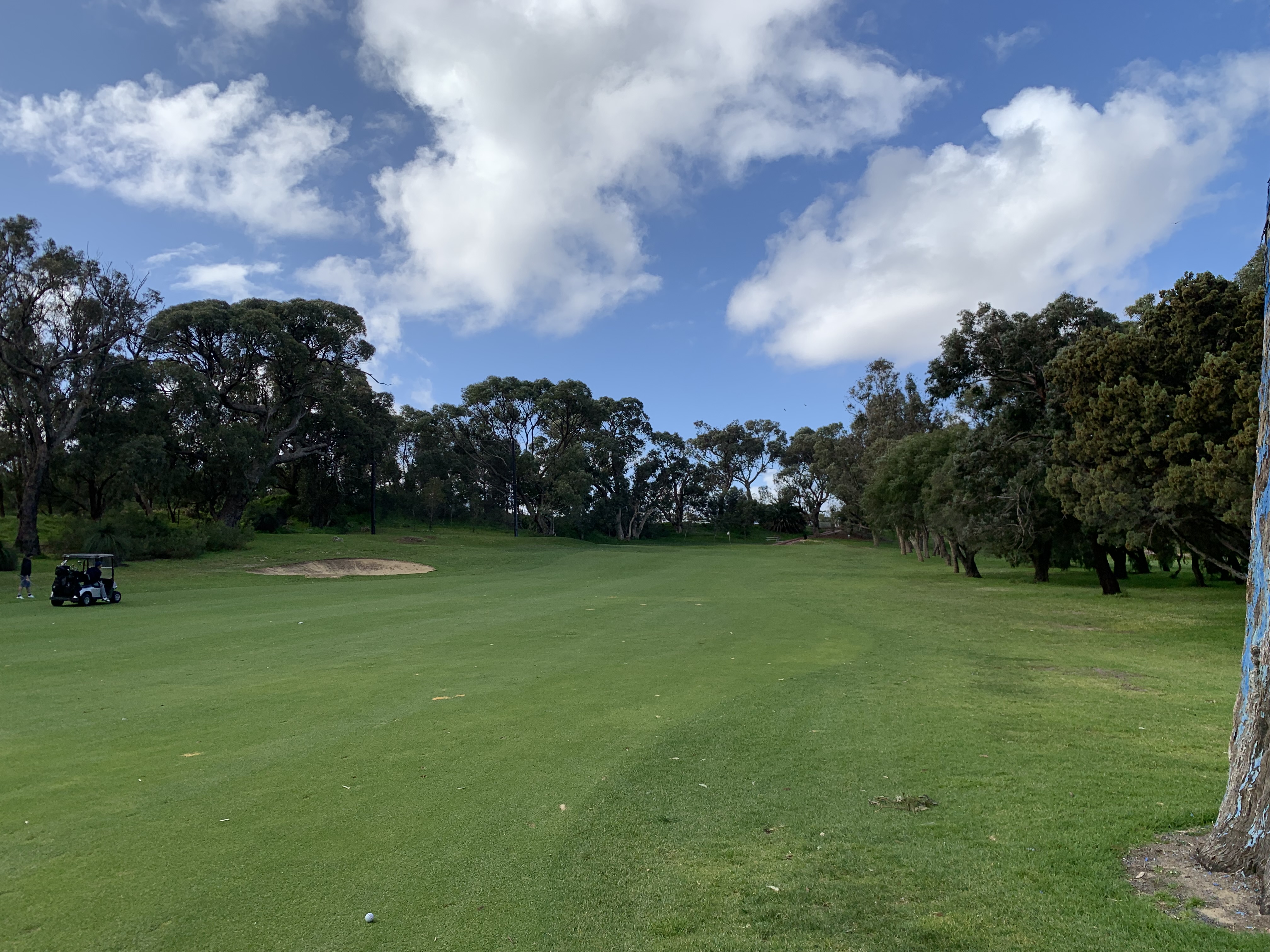 Wembley (Old) Review by Tim Crowley | Top 100 Golf Courses