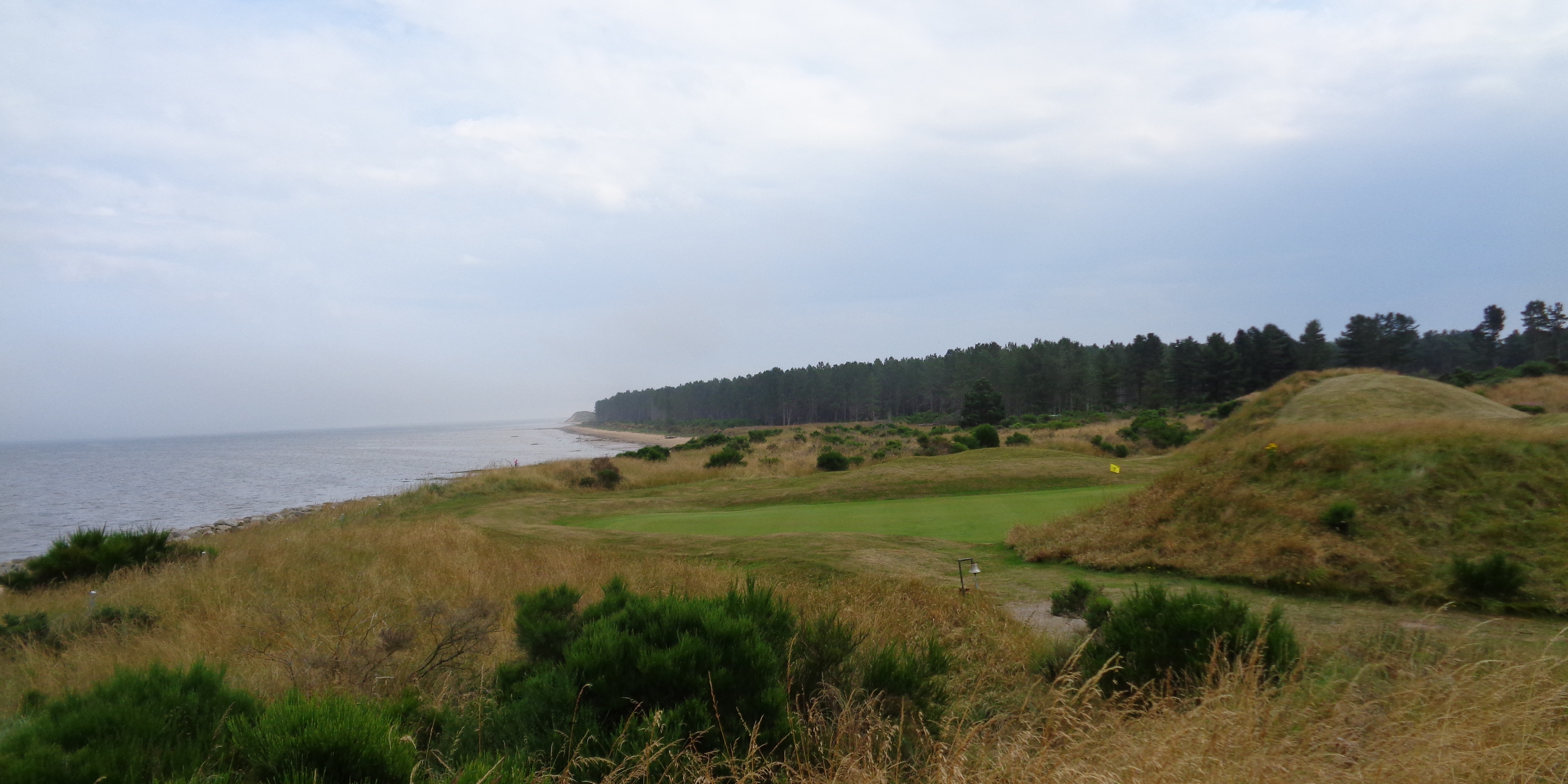 Tain Golf Club Review by JeffArenson | Top 100 Golf Courses